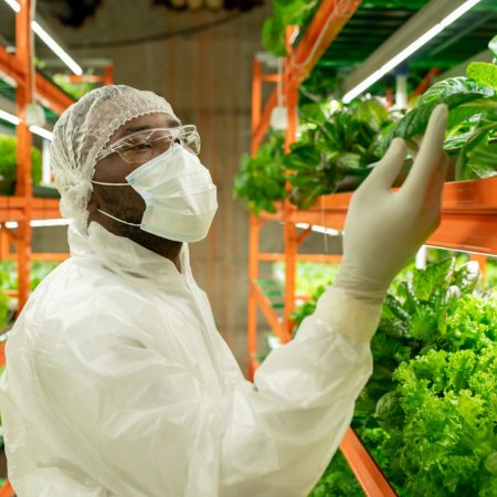 Food Safety Grade in Malaysia - ISO 22000 Malaysia Food Safety